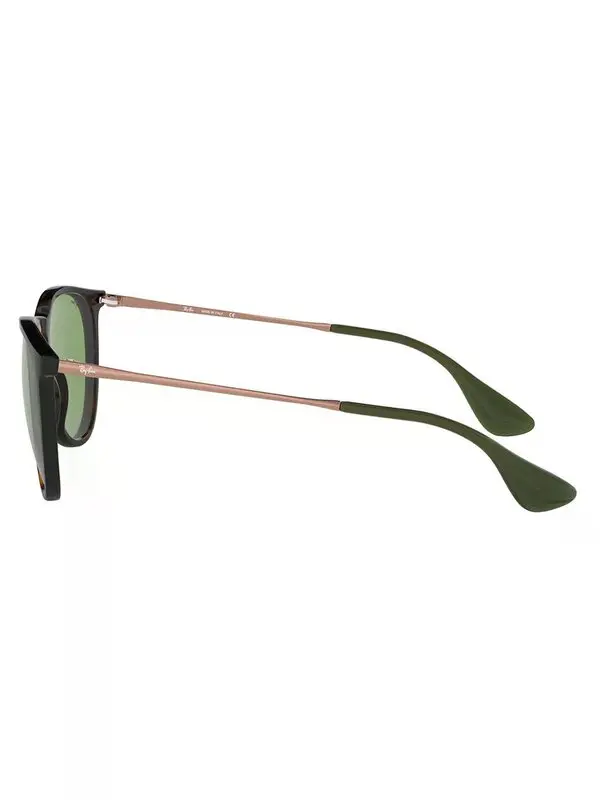 Ray-ban Erika Round-frame Sunglasses