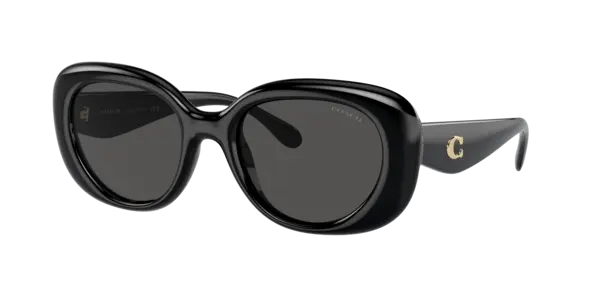 COACH Sunglasses - Grey Solid