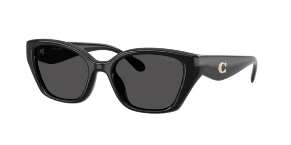 COACH Cat Eye Sunglasses - Grey Solid