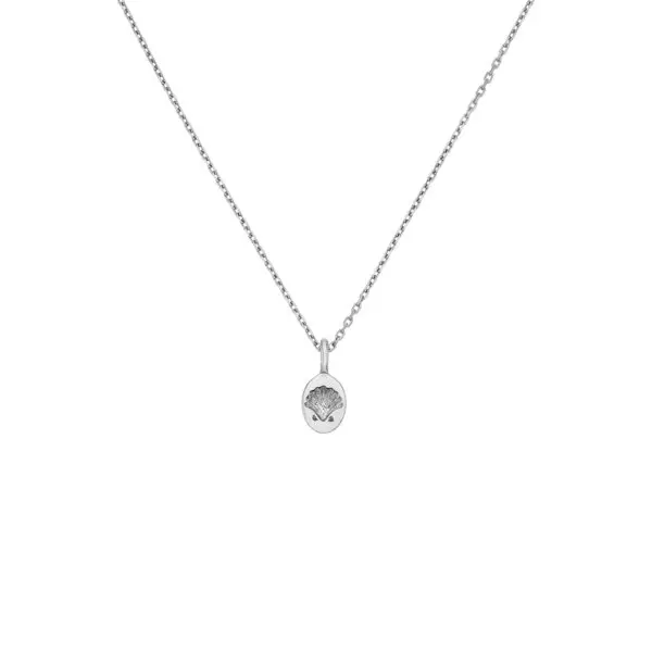 ZOË & MORGAN Zoe And Morgan Sterling Scallop Shell Pendant Necklace - Silver