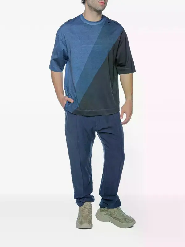 Emporio Armani Colour-block Logo-plaque T-shirt