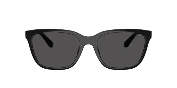 COACH Sunglasses - Grey Solid