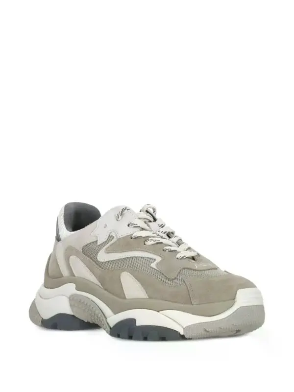 Ash Addict Panelled Sneakers