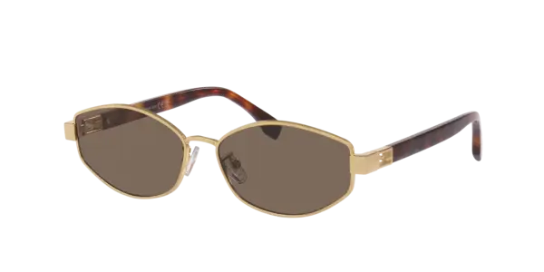 Fendi Baguette Sunglasses - Brown