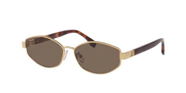 Fendi Sunglass Baguette Fe40216u - Brown