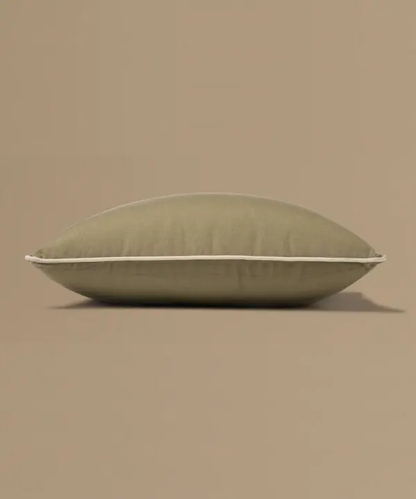 BUSINESS & PLEASURE The Euro Throw Pillow Pillow - Green