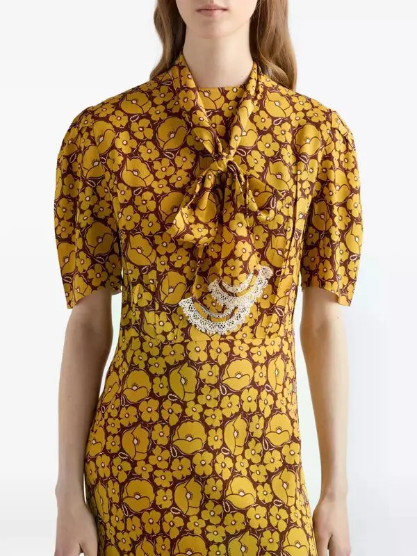 Prada Embroidered Printed Sable Dress