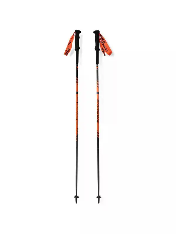 DYNAFIT Foldable Trekking Poles