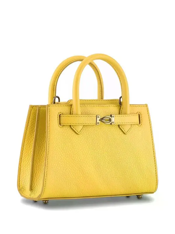 Tyler Ellis Mini Winnie Tote Bag