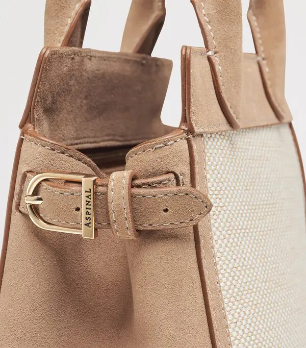 ASPINAL OF LONDON Mini Raffia-suede Savannah Top-handle Bag