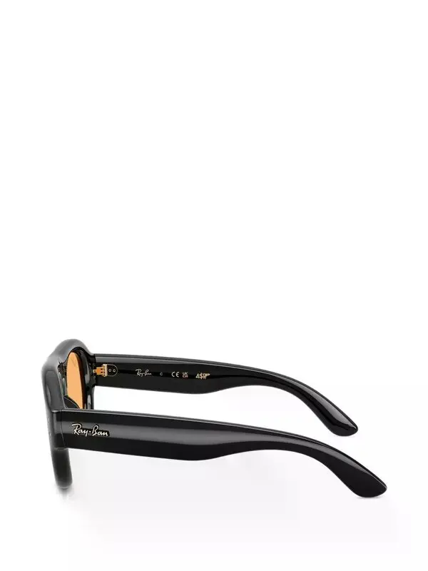 Ray-ban Round-frame Sunglasses