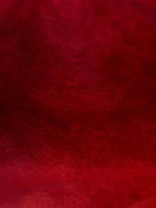 LOUIS VUITTON Epi Pochette Accessoires Shoulder Bag - Red