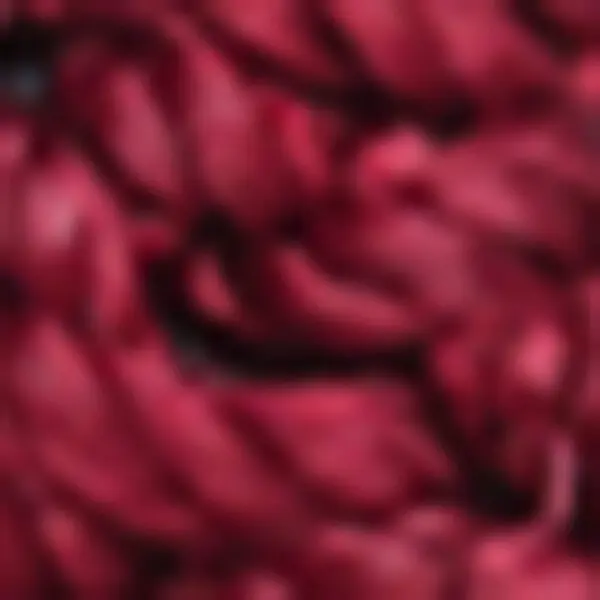 Alaïa Satin Crochet Ballerina Flats - Red