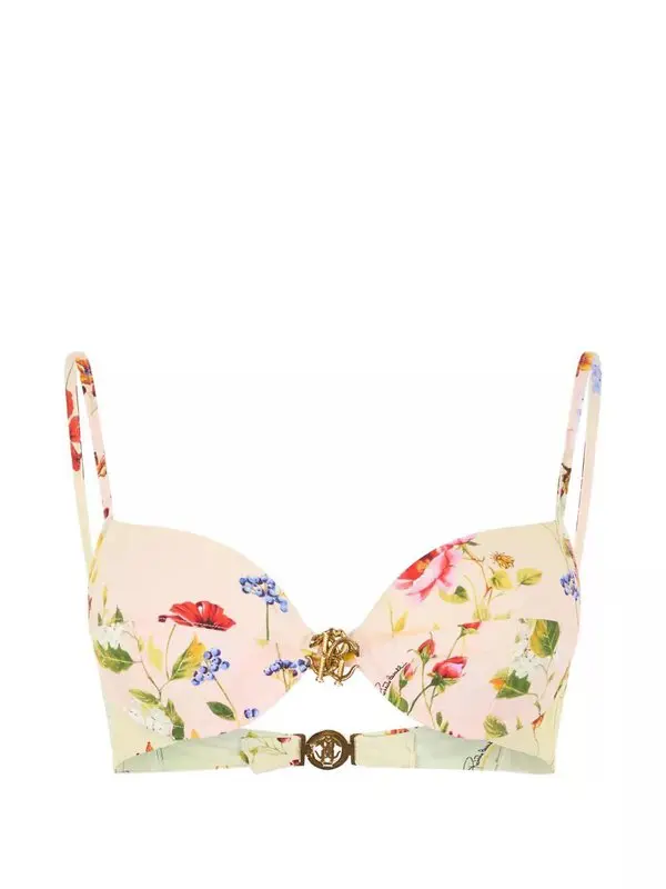 Roberto Cavalli Floral Print Detail Bikini Top - Neutrals