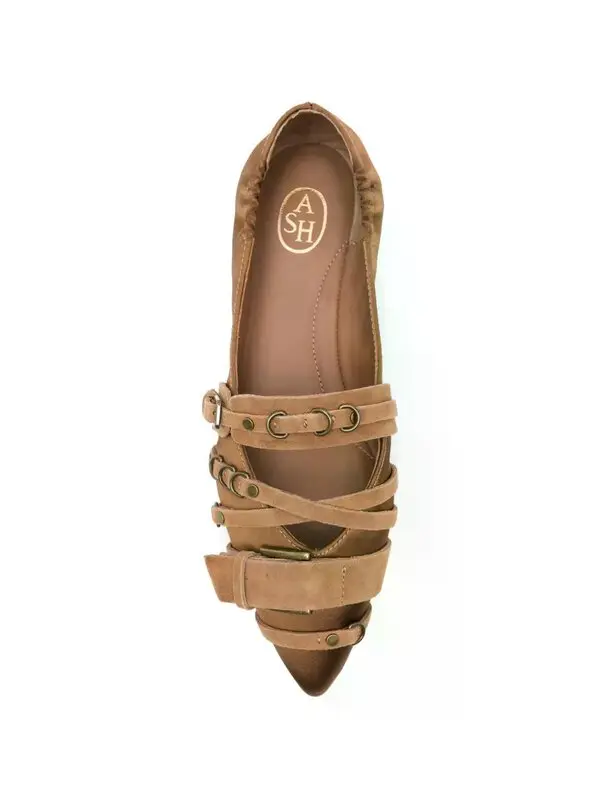 Ash Buckled Pointed-toe Ballet Flats