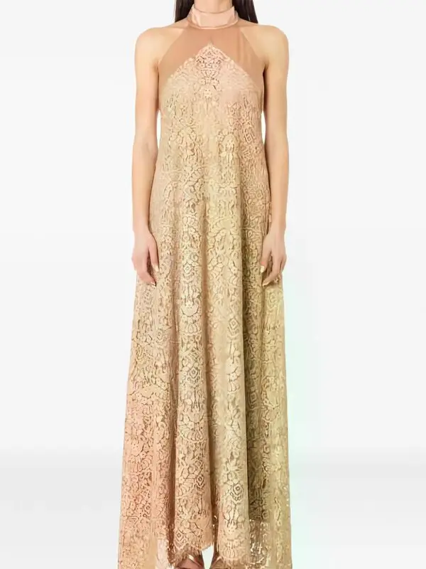D.exterior Lace-overlay Gown