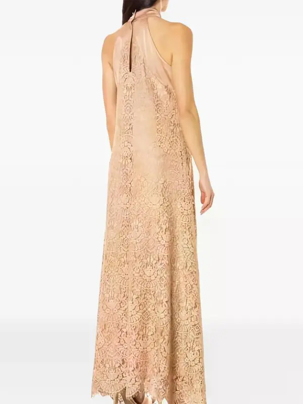 D.exterior Lace-overlay Gown
