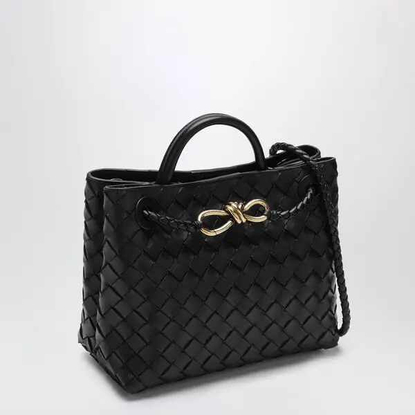 Bottega Veneta Small Andiamo Bag