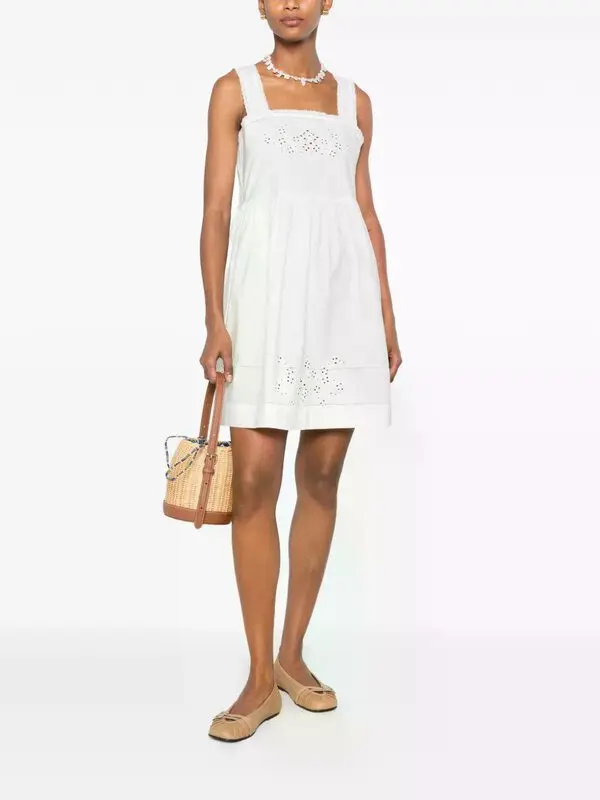 Maje Embroidered Flared Mini Dress