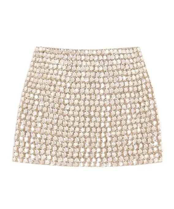Valentino Garavani Mini Skirt In Embroidered Organza
