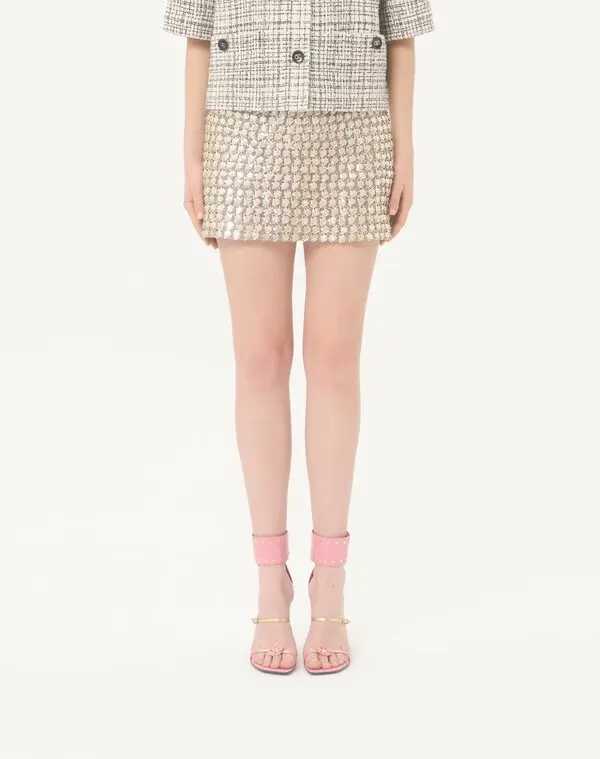 Valentino Garavani Mini Skirt In Embroidered Organza