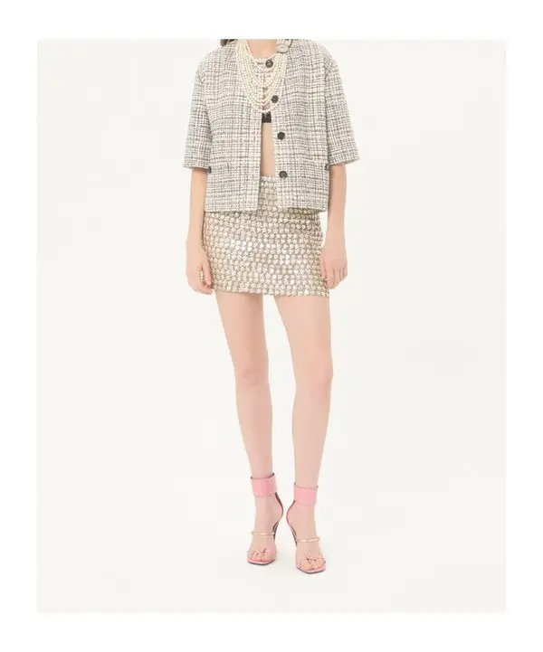 Valentino Garavani Mini Skirt In Embroidered Organza