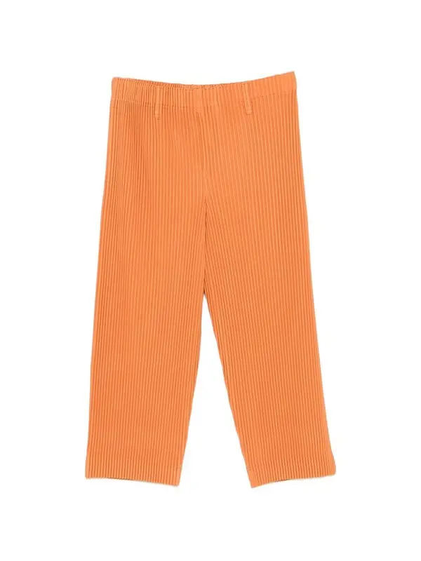 Issey Miyake Pleated Trousers
