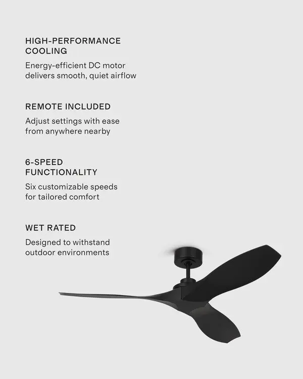 Quince Outdoor Transitional Ceiling Fan, Metal - Black