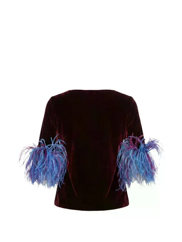 STEPHAN JANSON Feather-trim Velour Blouse