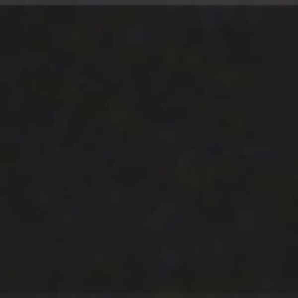 Christopher Esber Jo Flip Flops - Black