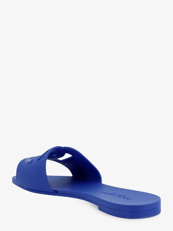 Dolce & Gabbana Dg Logo Pvc Slides - Multicolor