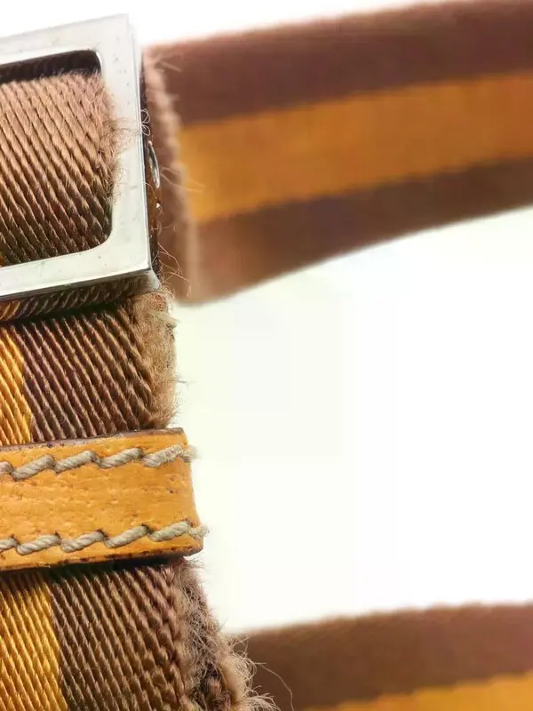 Gucci Gg Canvas Crossbody Bag