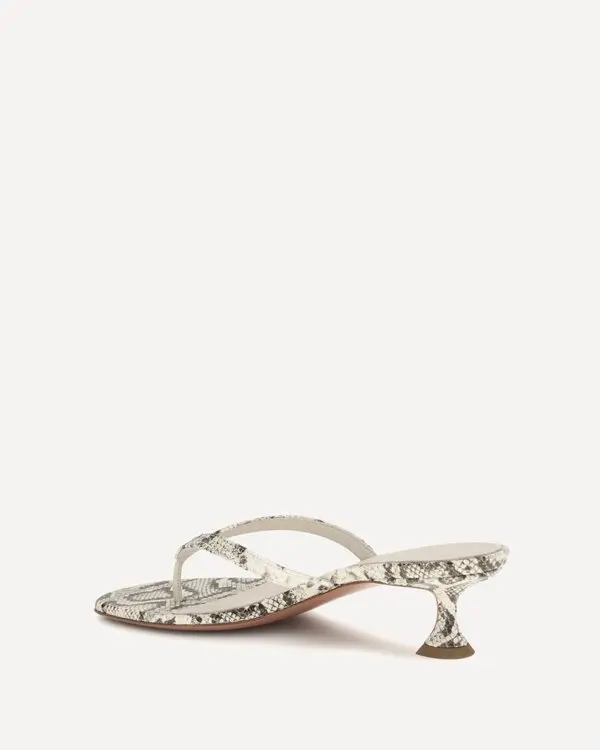 Amina Muaddi Eyeglasses