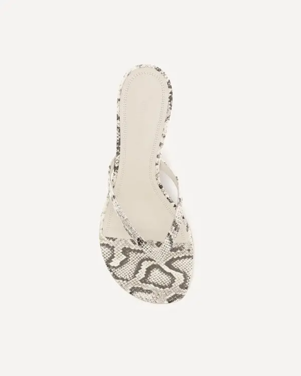 Amina Muaddi Eyeglasses