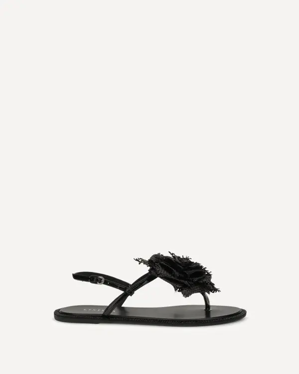 LE SILLA Rose Sandals - Black