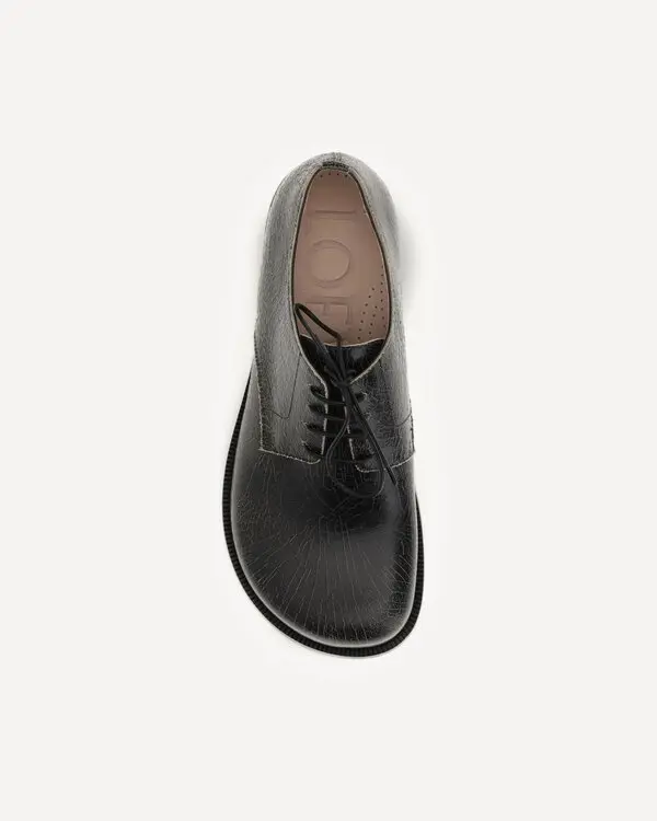 Loewe Campo Derby Lace-ups - Black