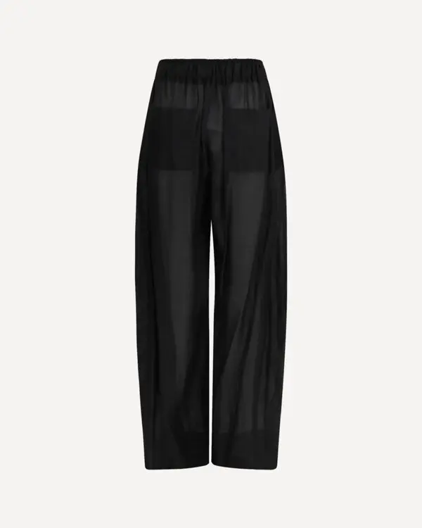 THE LATEST Dora Pants Wide Leg Sheer Trousers