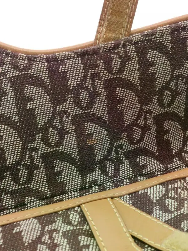 Dior Saddle Trotter Shoulder Bag
