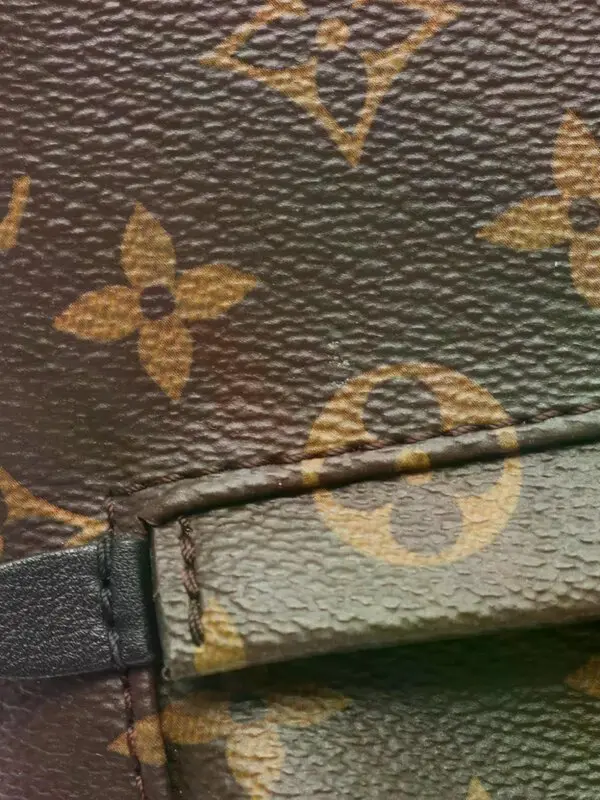 LOUIS VUITTON Monogram Palm Springs Mm Backpack