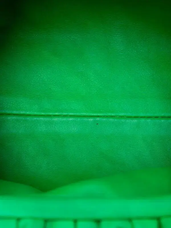 Bottega Veneta The Mini Pouch Crossbody Bag - Green