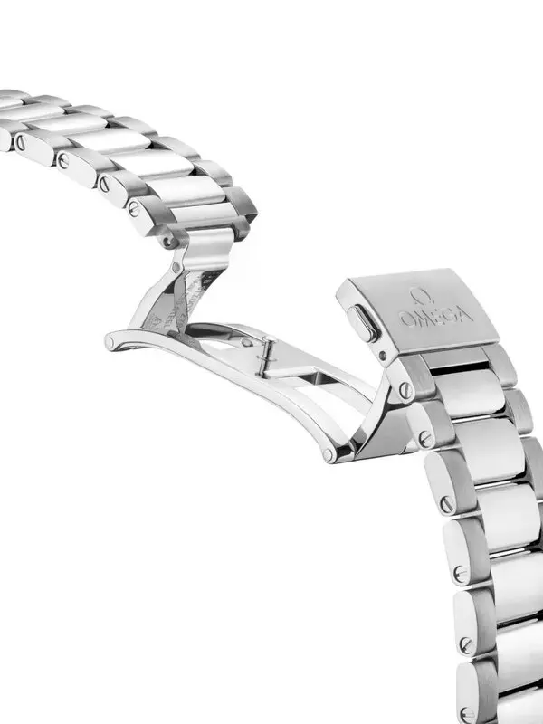 Omega Seamaster Aqua Terra 41mm Watch