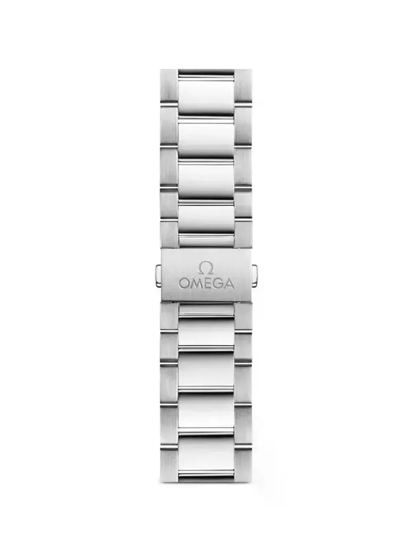 Omega Seamaster Aqua Terra 41mm Watch