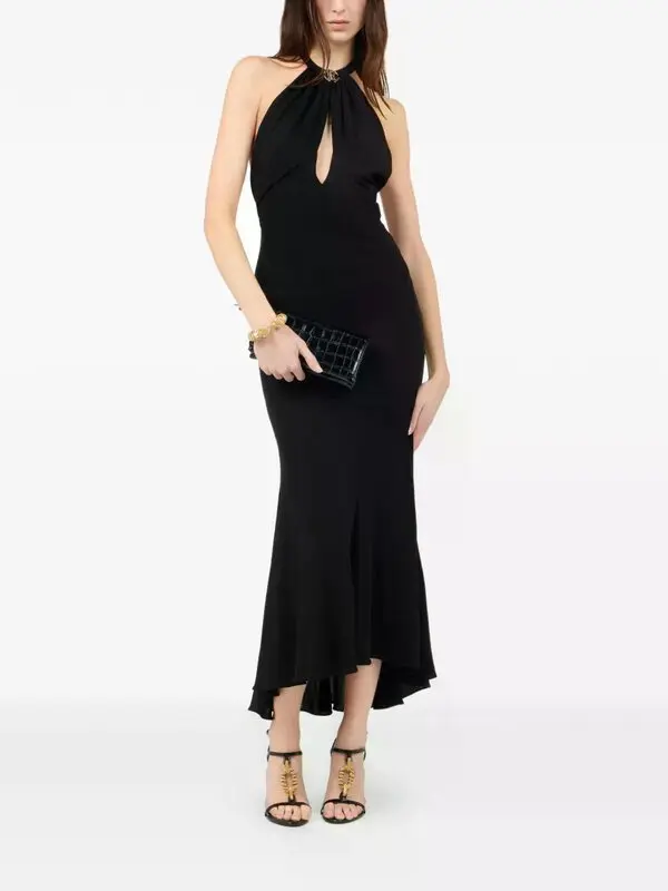 Roberto Cavalli Cut-out Halterneck Maxi Dress