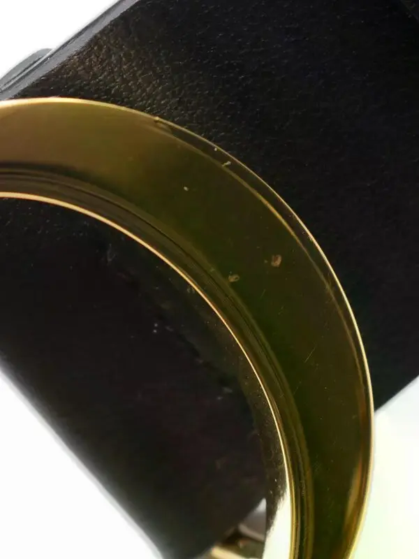 Dior 30 Montaigne Belt