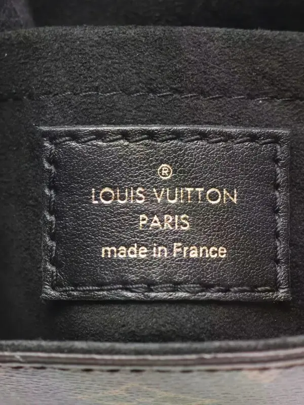 LOUIS VUITTON Camera Box Monogram Tote Bag