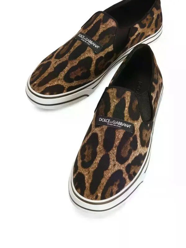 Dolce & Gabbana Leo Print Canvas Dg Sailing Sneakers