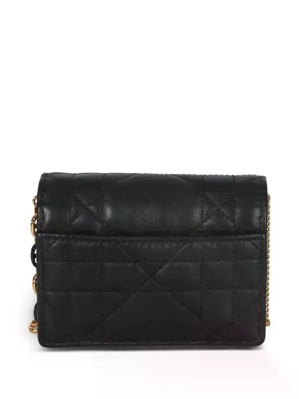 Dior 2023 Miss Caro Clutch Bag
