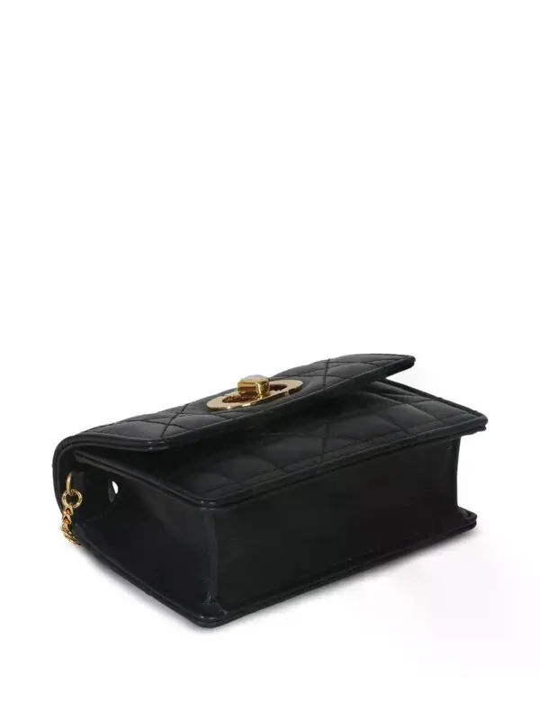 Dior 2023 Miss Caro Clutch Bag