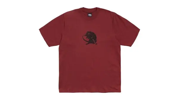 StÜssy Long Range Tee Shirt