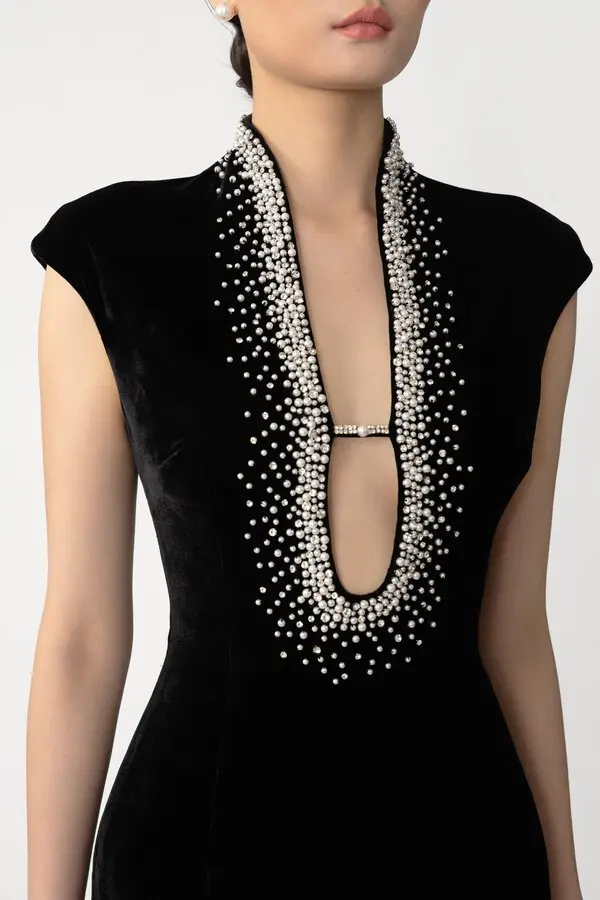 SAU LEE Lenora Velvet Gown With Embellished Plunge